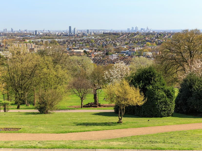 20 Most Common Birds in London: Gardens, Parks & Urban Hotspots | Birdfact